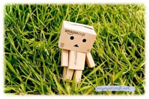 Danbo Photoshoot
